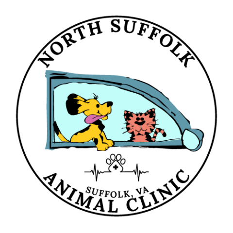 Best Vet Clinic In Suffolk, VA | North Suffolk Animal Clinic